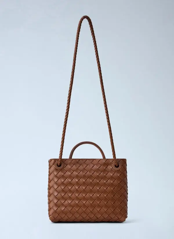 Bottega Veneta Small Andiamo Handbag - Brown