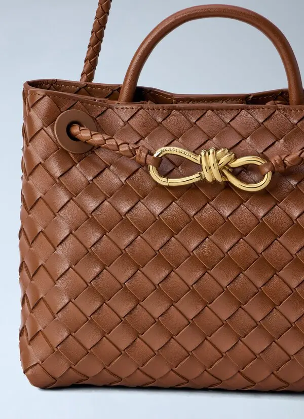 Bottega Veneta Small Andiamo Handbag - Brown