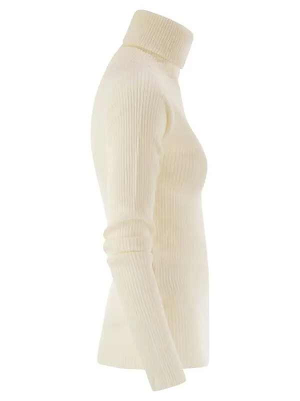 Sportmax Pinna High-neck Zip Jumper