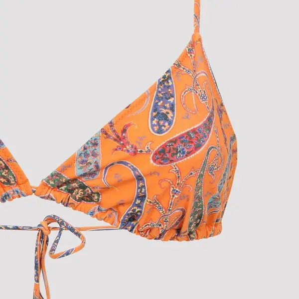 Etro Paisley Print Triangle Bikini - Multicolor