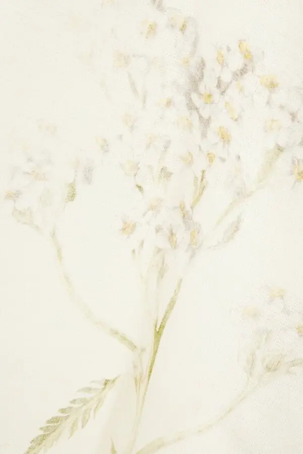 Alberta Ferretti Embroidered Midi Dress