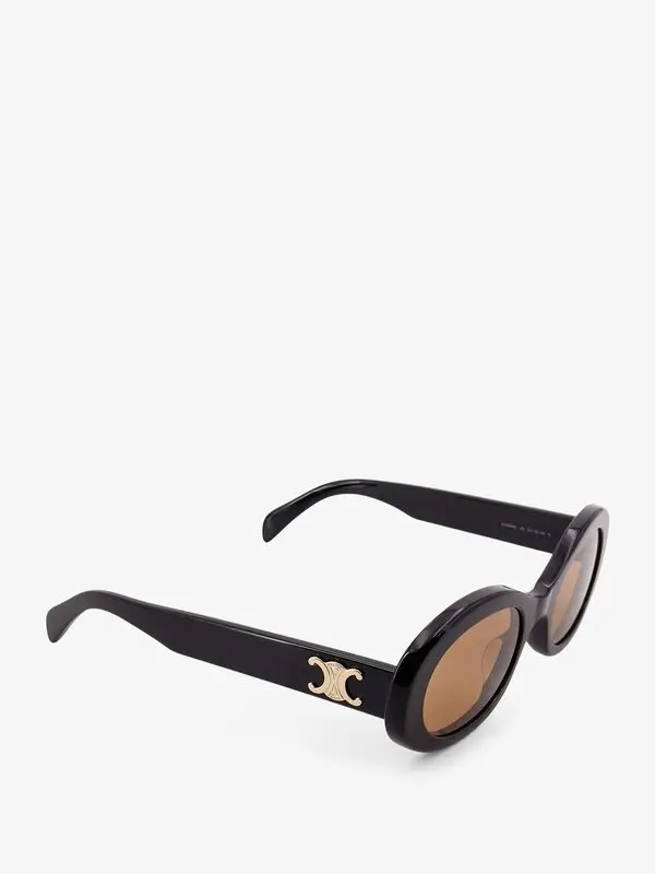 Celine Triomphe Acetate Sunglasses - Multicolor