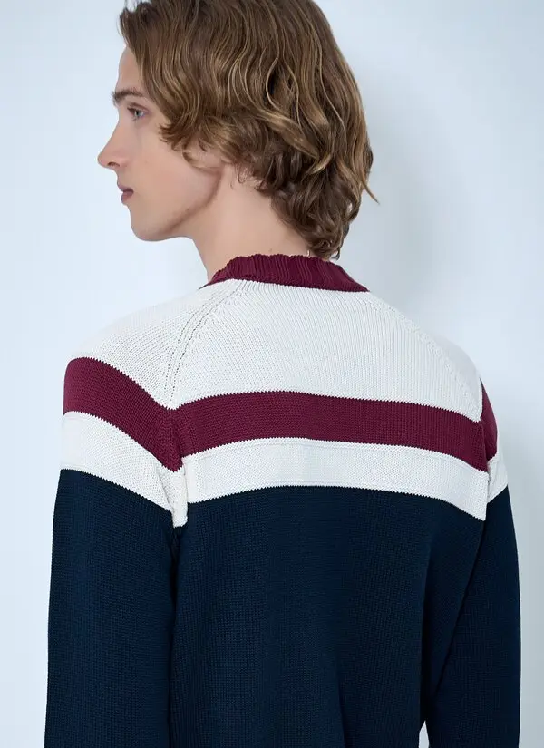 Marni Striped Crew Neck Sweater With Ribbed Trims