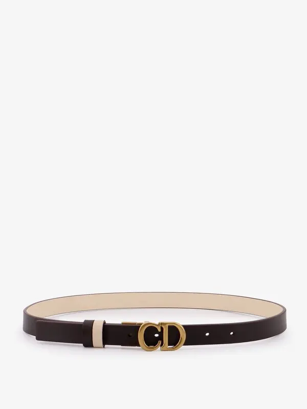 Dior Leather Saddle Belt - Multicolor