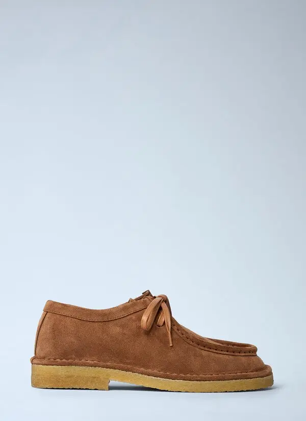 Bottega Veneta Daddy Lace-up Shoes - Multicolor