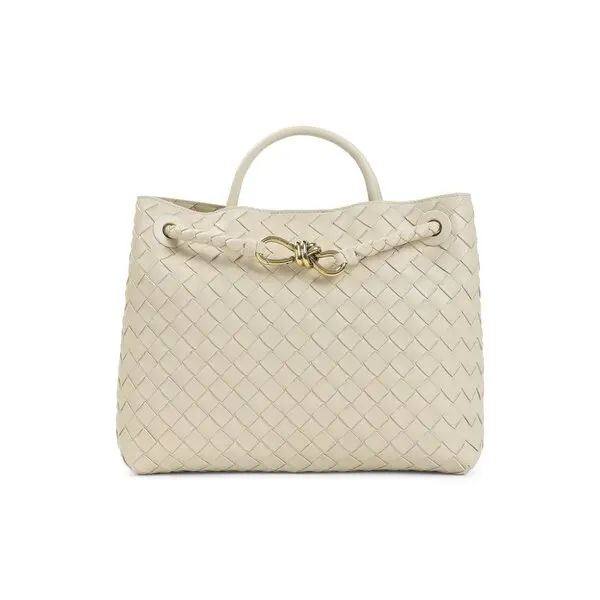 Bottega Veneta Andiamo Medium Bag