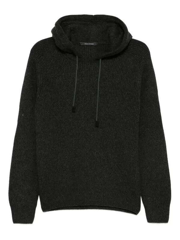Tagliatore Wool Hooded Sweater