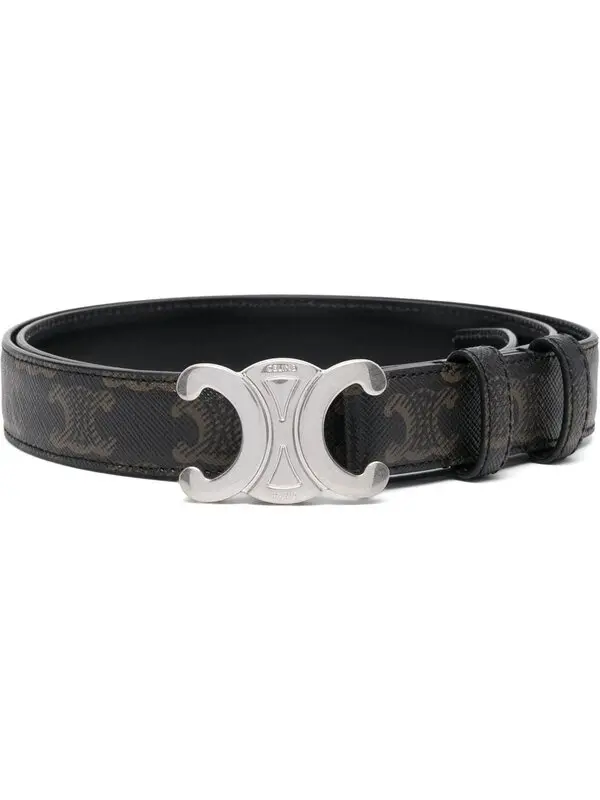 Celine Triomphe Canvas Belt - Multicolor