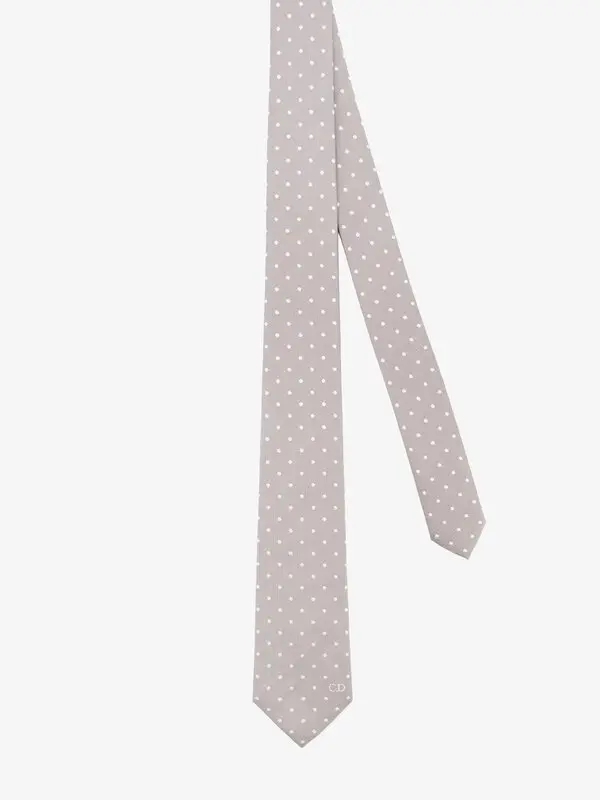 Dior Silk Tie