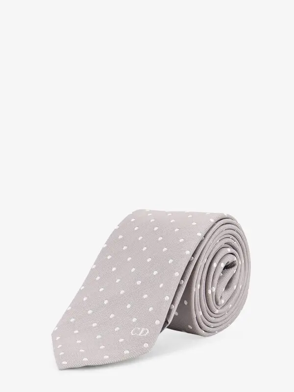 Dior Silk Tie - Multicolor