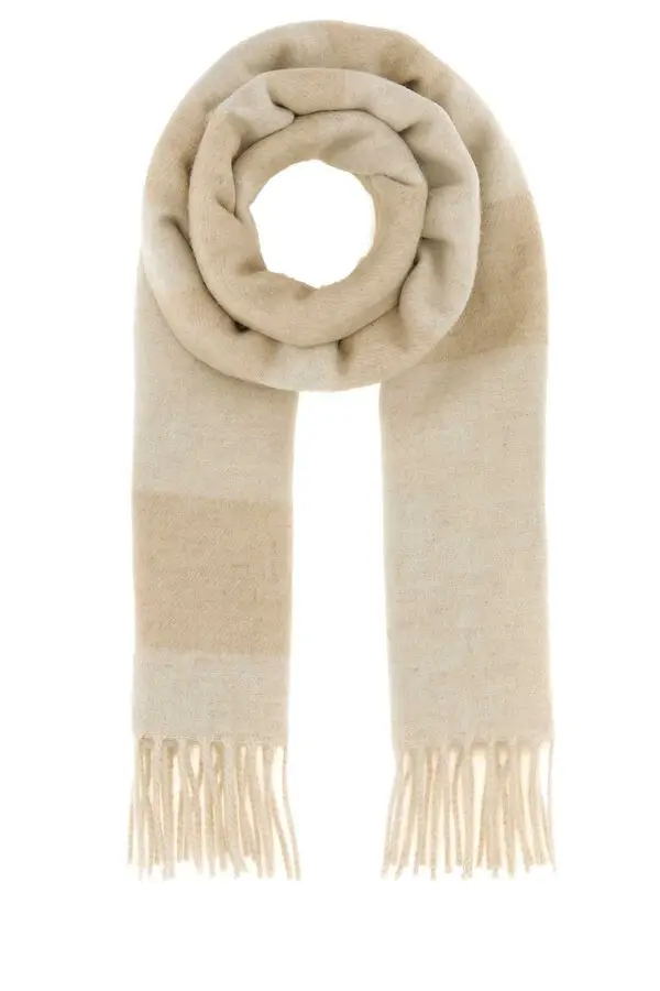 Loewe Embroidered Cashmere Scarf - Brown