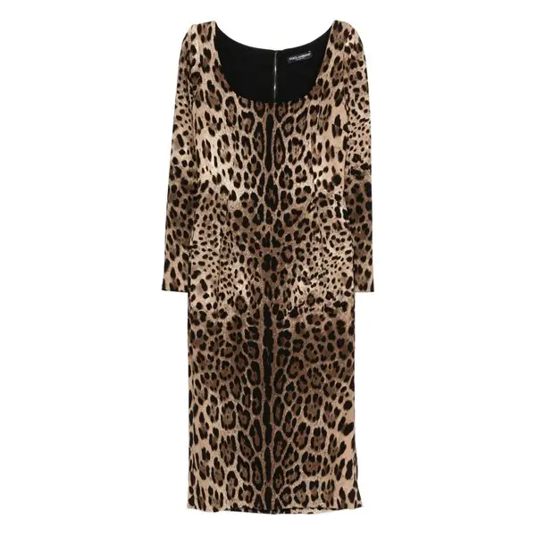 Dolce & Gabbana Leopard Print Long Sleeve Dress - Brown