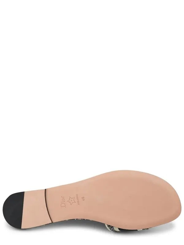 Dior Dway Slides