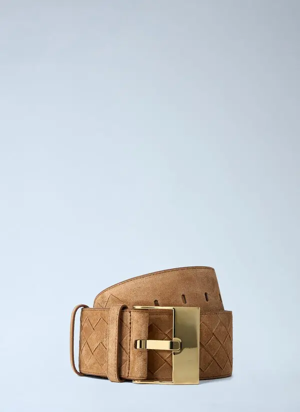 Bottega Veneta Large Suede Watch Belt - Multicolor
