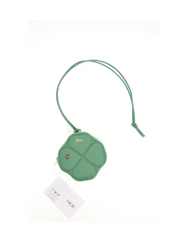 Dior Small Shape Pouch - Multicolor