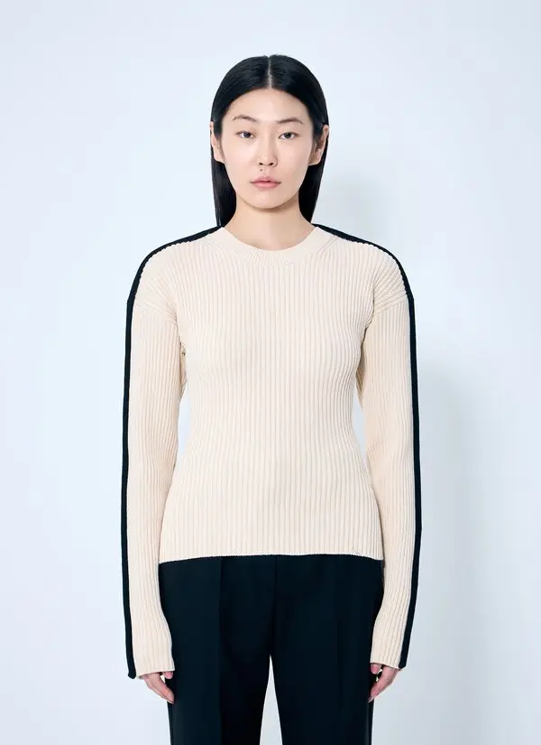 Sportmax Ribbed Fitted Crewneck Sweater With Contrast Stripe Detail - Multicolor