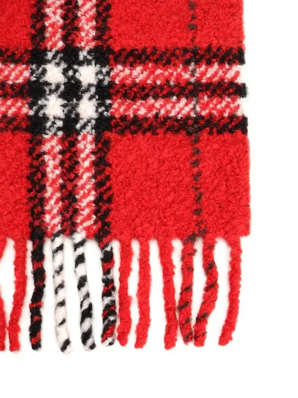 Burberry Scarf With Fringes