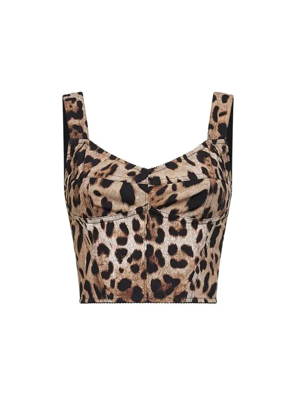 Dolce & Gabbana Leopard Print Bustier Top - Multicolor