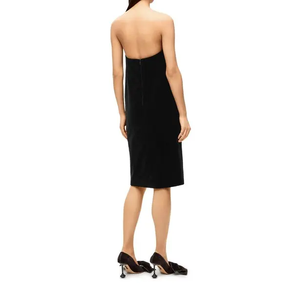 Loewe Velvet Bustier Dress