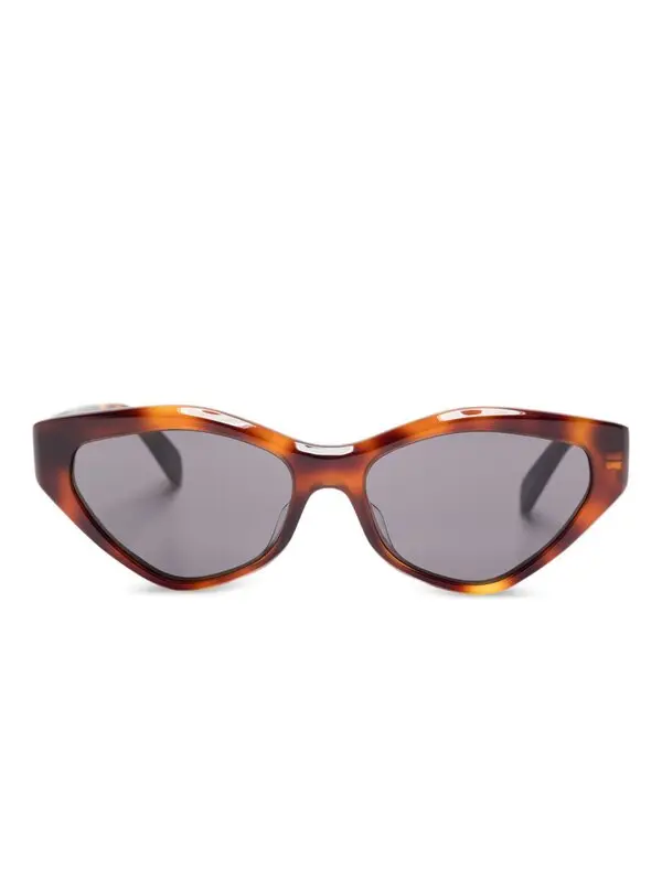 Celine Triomphe 17 Sunglasses - Multicolor