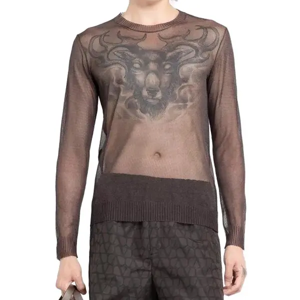 Valentino Garavani S Long Sleeve Semi-transparent Crew Neck Sweater - Brown