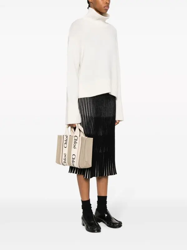 Chloé Woody Small Canvas Tote - Multicolor