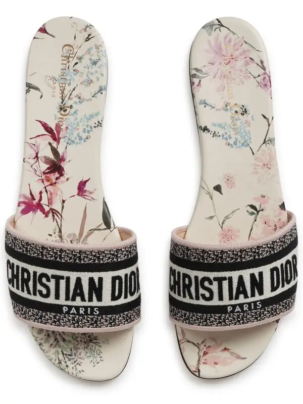 Dior Logo Slides