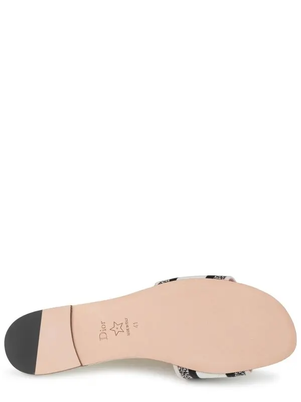 Dior Logo Slides