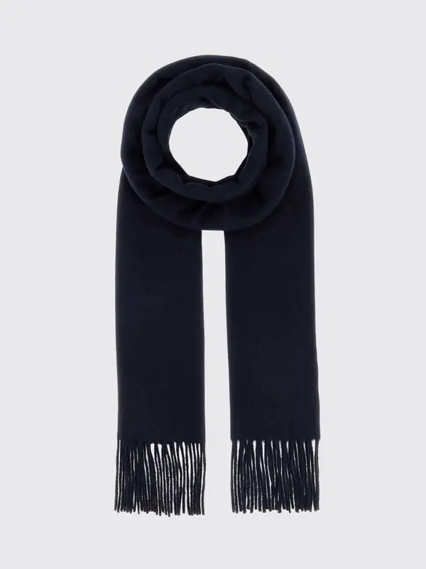 Max Mara Scarf - Blue