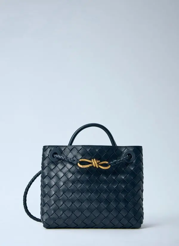 Bottega Veneta Medium Andiamo Handbag - Blue