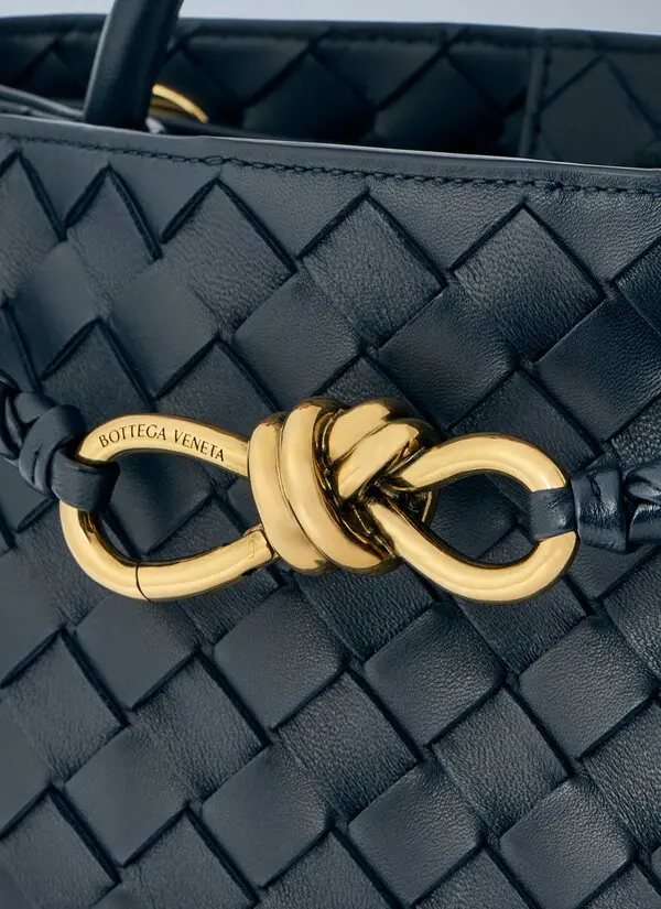 Bottega Veneta Medium Andiamo Handbag - Blue