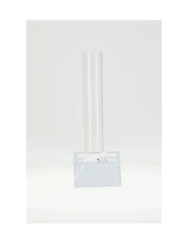 Dior Small Shape Card Holder