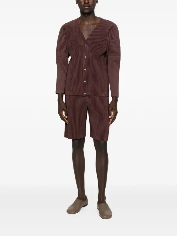 Issey Miyake Pleated Shorts - Multicolor