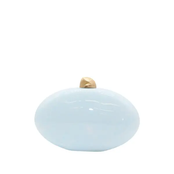 Cult Gaia Acrylic Clutch