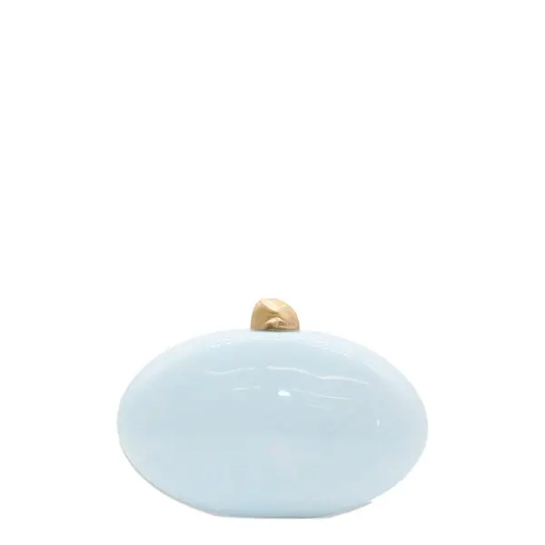 Cult Gaia Acrylic Clutch