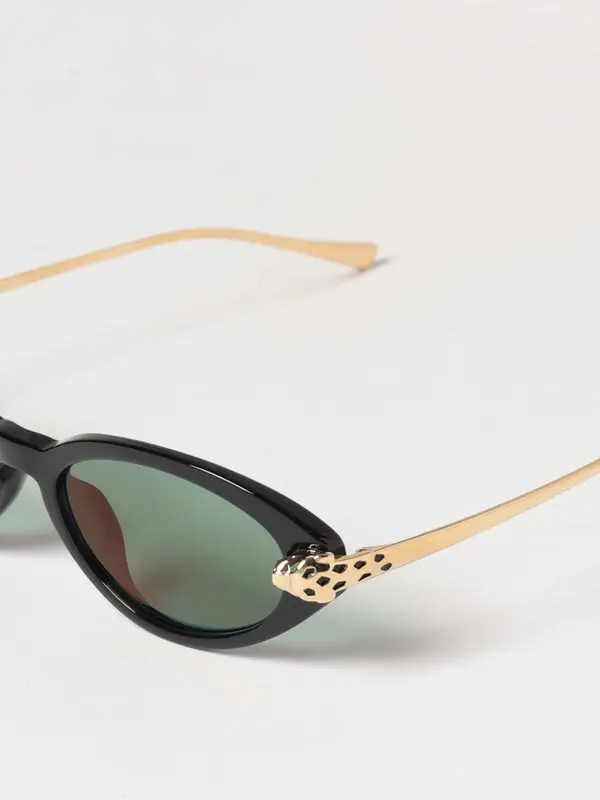 Cartier Sunglasses Cat Eye Frame - Multicolor