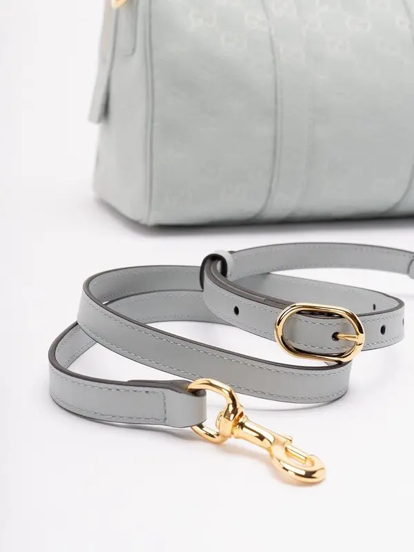 Gucci Ophidia Handbag