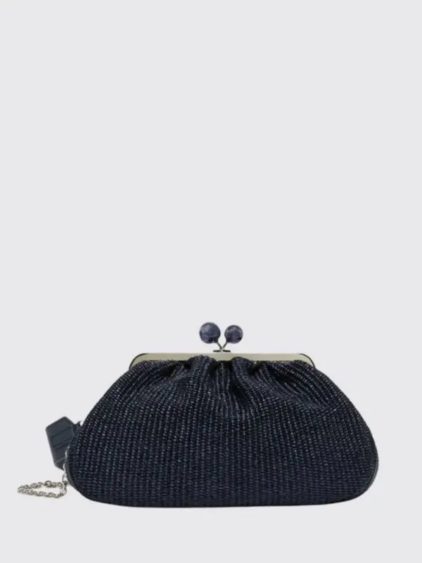 Max Mara Clutch