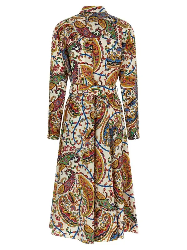 Etro Paisley Foliage Cotton Midi Dress