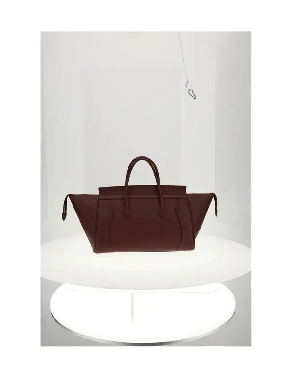 Celine Luggage Tote - Multicolor
