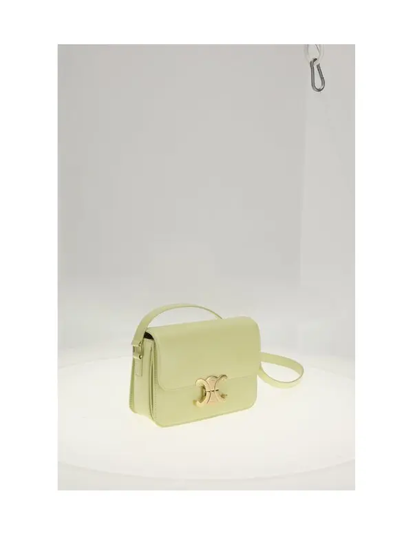 Celine Teen Triomphe Shoulder Bag - Multicolor