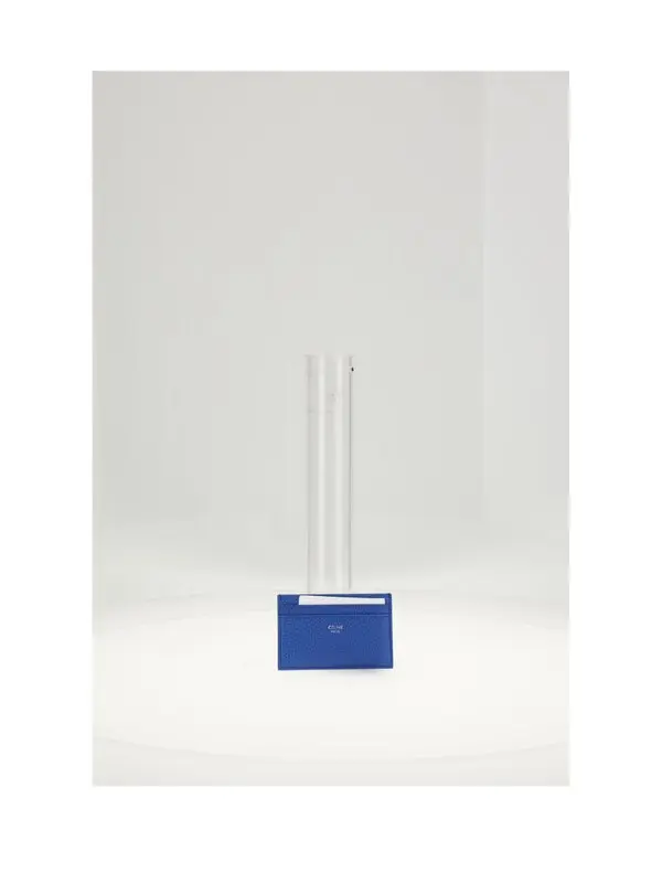 Celine Medium Card Holder - Multicolor