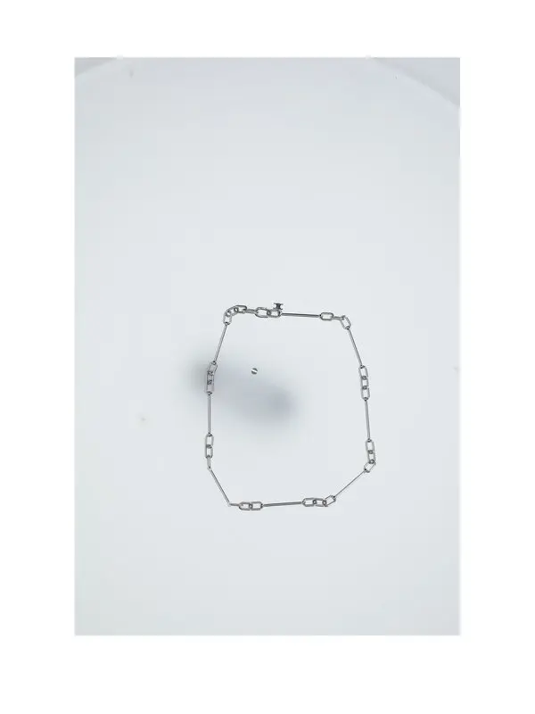 Celine Link Necklace