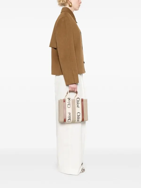 Chloé Small Woody Tote Bag - Multicolor