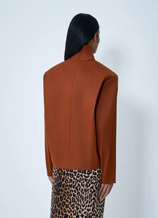 Saint Laurent High Neck Long Sleeve Organza Top
