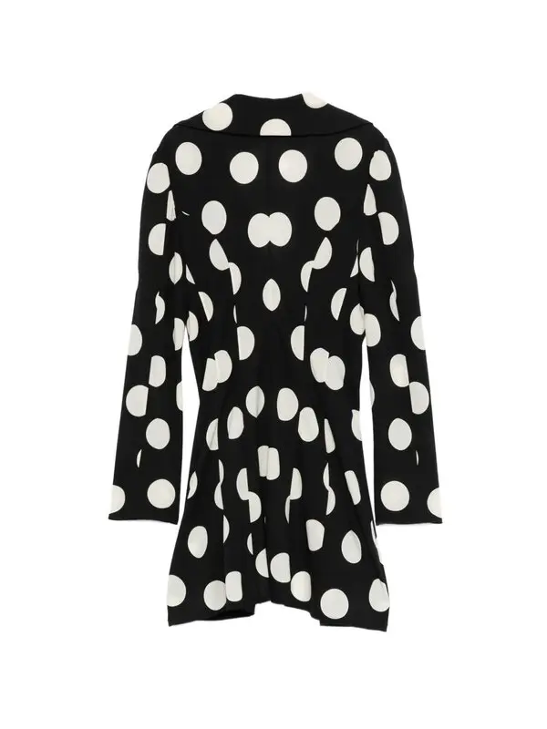 Junya Watanabe Dotted Single-breasted Jacket