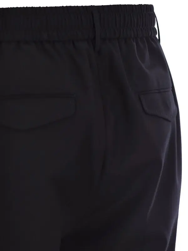 Peserico Virgin Wool Trousers - Blue