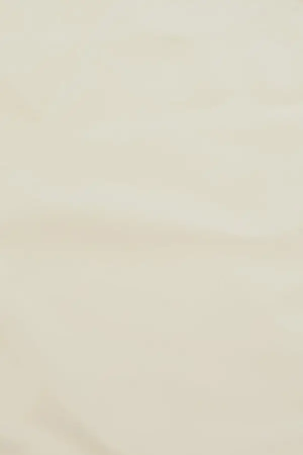 Alberta Ferretti Scarves & Shawls