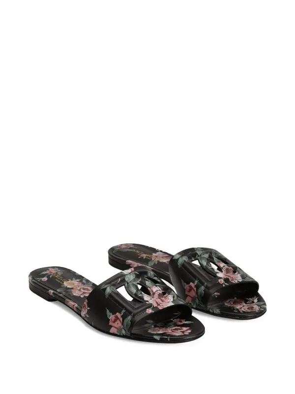 Dolce & Gabbana Dg Logo Floral Print Leather Flat Sandals - Multicolor