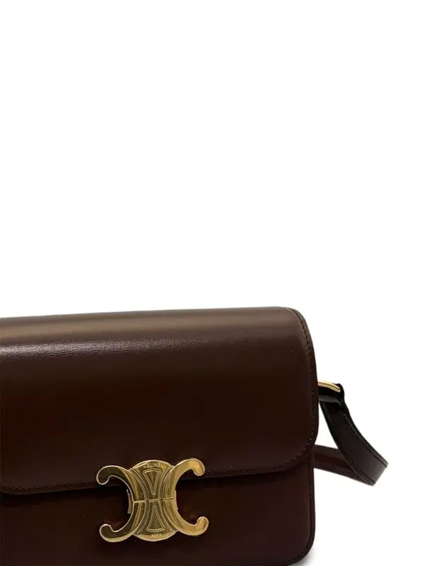 Celine Triomphe Leather Crossbody Bag - Multicolor
